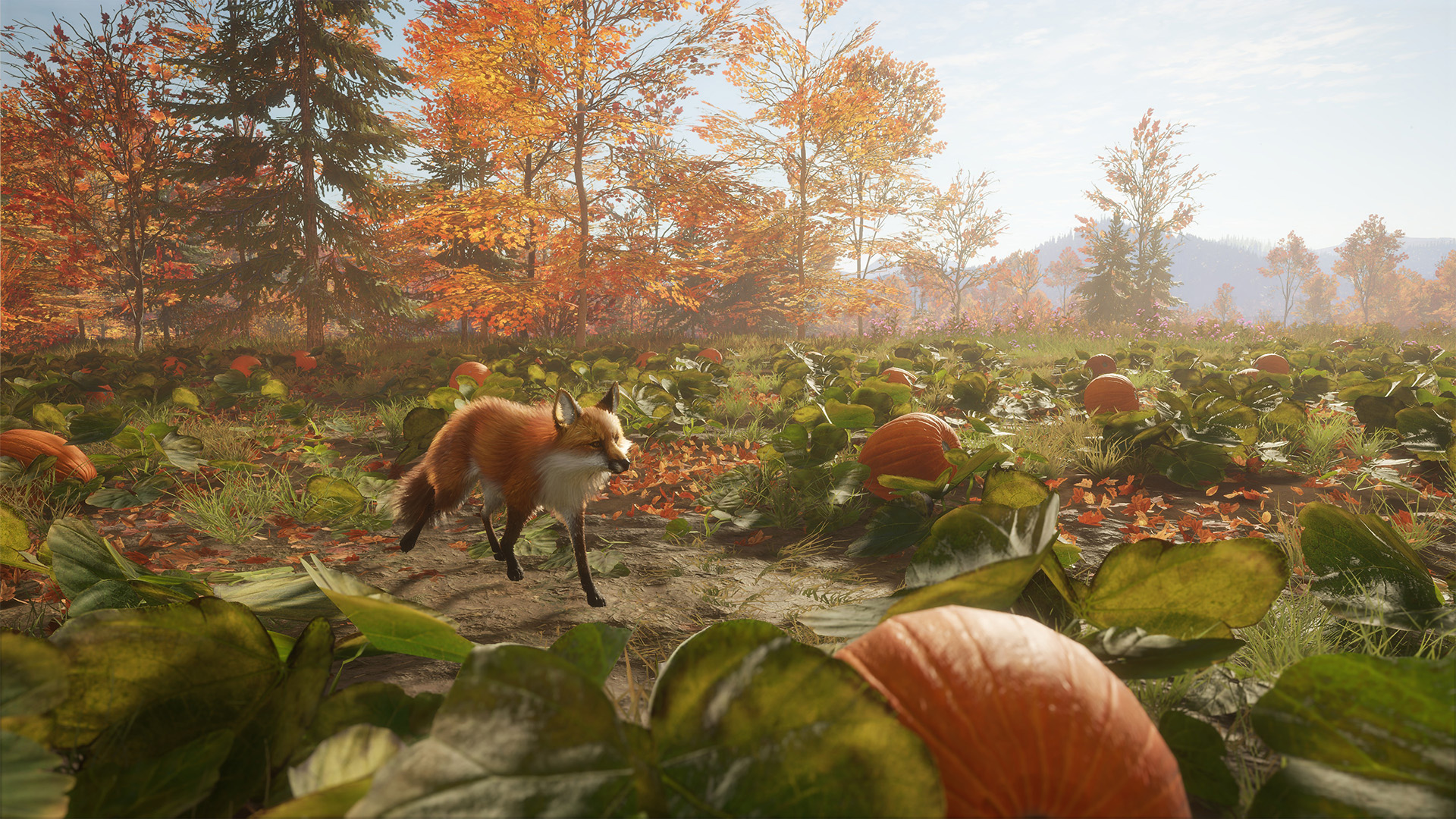 New England Mountains Reserve Out Now for theHunter: Call of the Wild ...