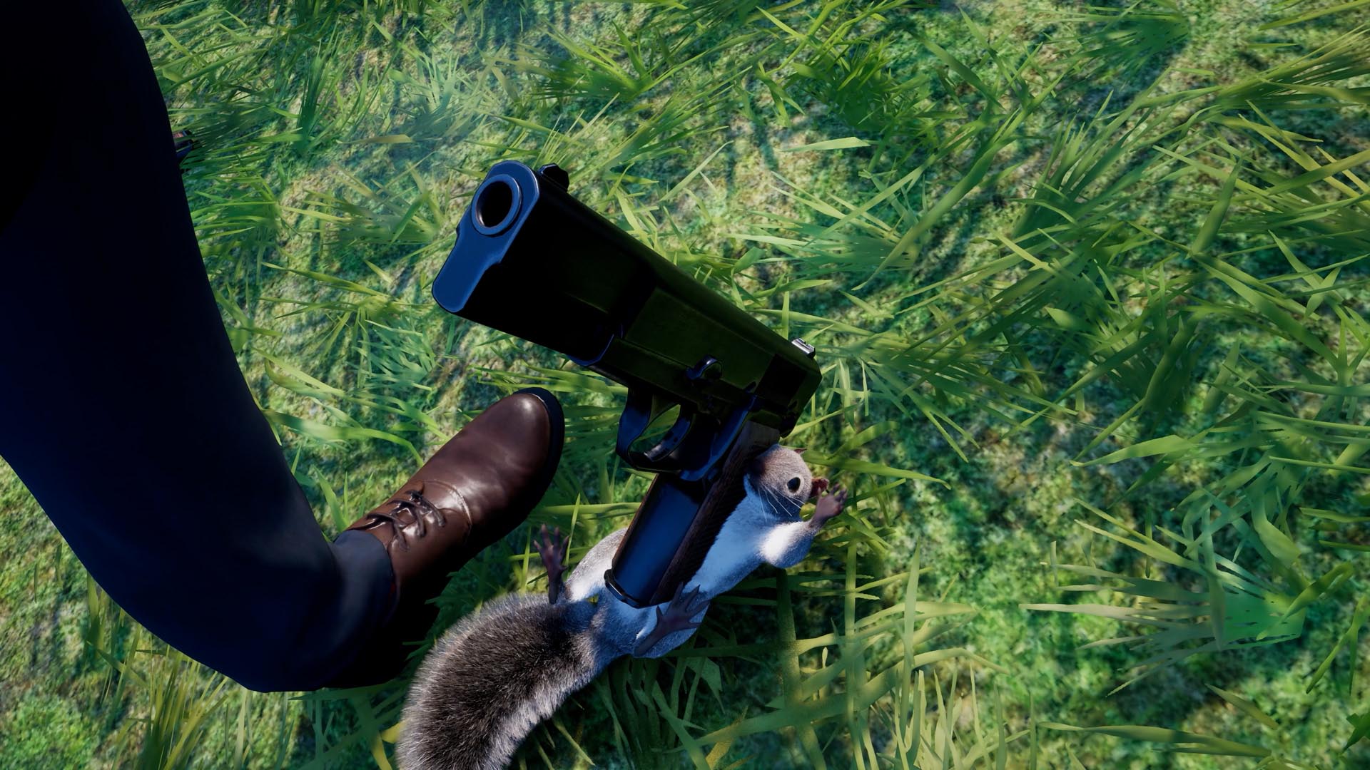 The Armed Squirrel’s Weapon Guide: An Arsenal Overview of Squirrel With ...